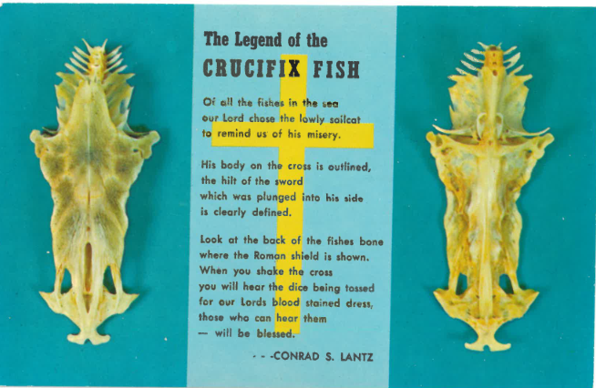 “Show, Don’t Tell:” Introducing the Religious Postcard Collection ...